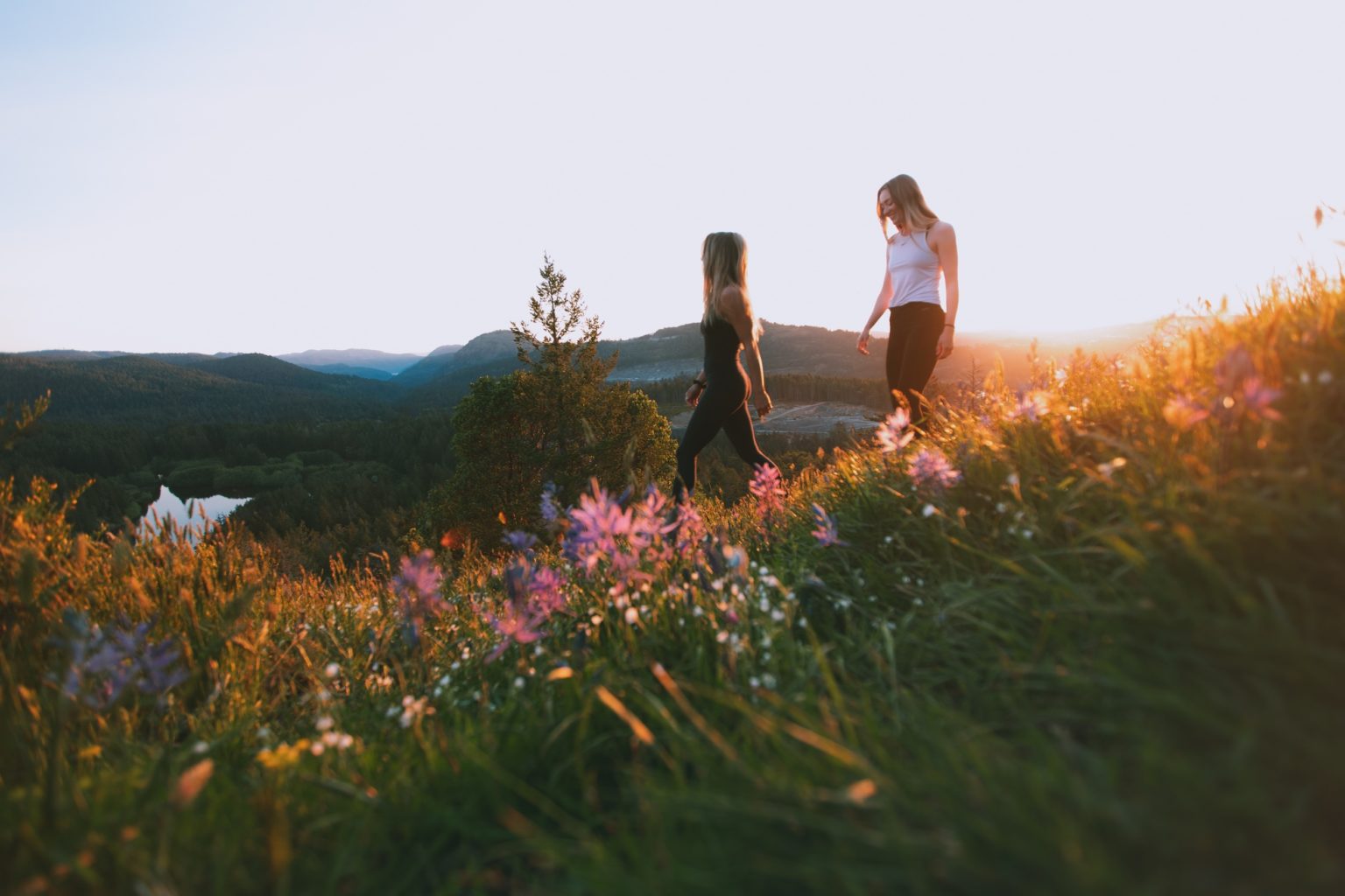 Seeking Comfort in Nature - Strait and Narrow